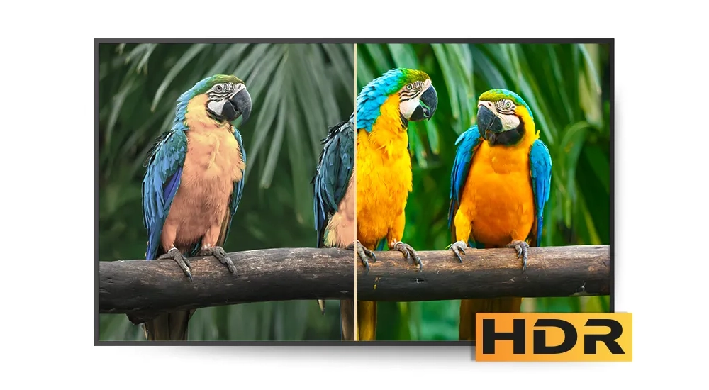 SpinetiX Elementi 2025: что изменилось и как обновить софт